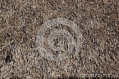 Chaume Images stock - Image: 14677164