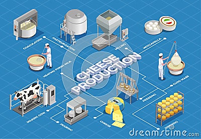 Cheese Production Isometric Flowchart Vector Illustration ...