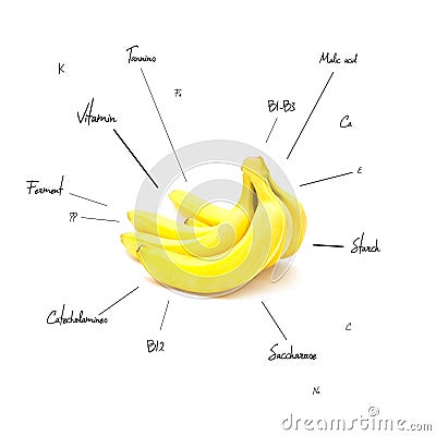 The Chemical Composition Of Banana Stock Illustration - Image: 58396183
