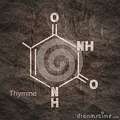 Chemical Structural Formula Of Thymine - DNA And RNA Nitrogen Base ...