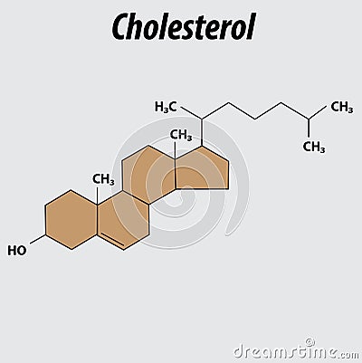 Chemical Structure Of Cholesterol Vector Graphic Backbone Structure ...