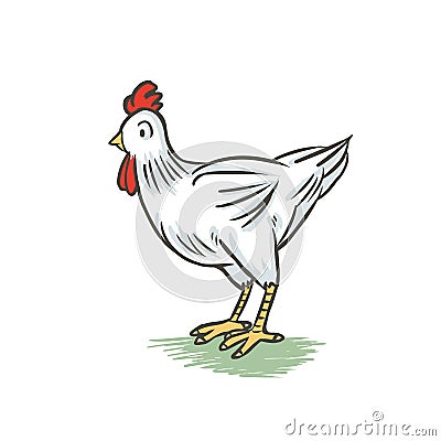 Clueless chicken stock vector. Illustration of humor - 20976389