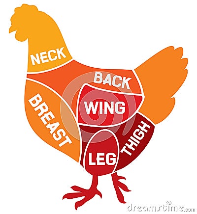 Chicken Cuts Diagram Stock Photo - Image: 37946180