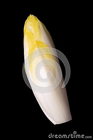 Belgian Endive, Raw Fresh Witloof Chicory Bud With Slightly Bitter ...