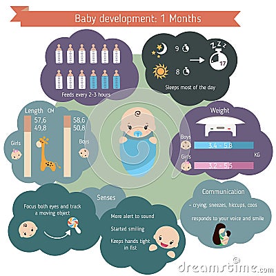 Child Development Infographics Vector Illustration | CartoonDealer.com ...