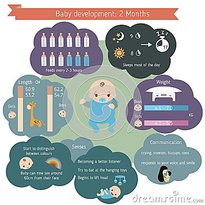 Child Development Infographics Cartoon Vector | CartoonDealer.com #83950723