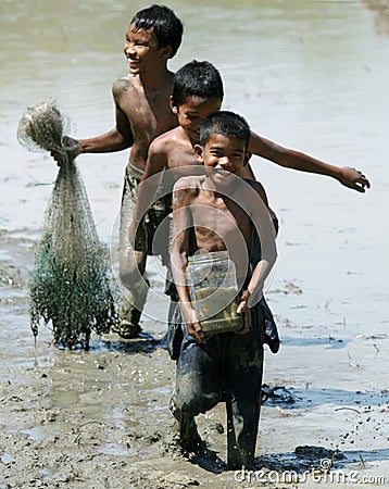Children Catch Fish In Paddy Field Editorial Photo | CartoonDealer.com ...