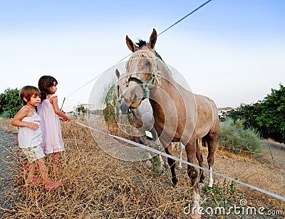 Children And Horses Stock Photos - Image: 17793013