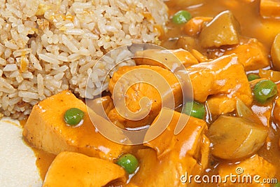 Chinese Chicken Curry Takeaway Royalty Free Stock Photo - Image: 13460275