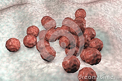 Chlamydia Trachomatis Bacteria Royalty-Free Cartoon | CartoonDealer.com ...