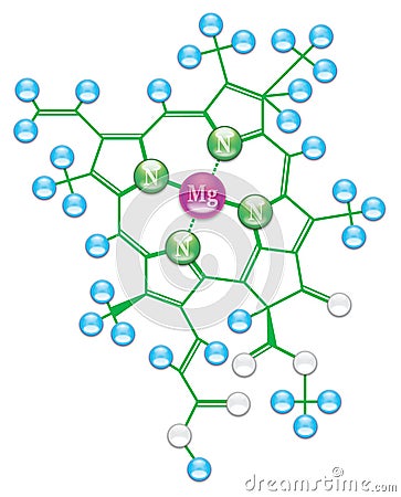 Chlorophyll Formula II Cartoon Vector | CartoonDealer.com #16033839