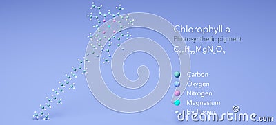 Chlorophyll A, Molecular Structures, Photosynthetic Pigment, 3d Model ...