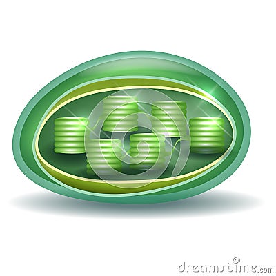 Chloroplast Cartoon Vector | CartoonDealer.com #77364439