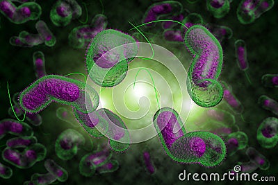 Cholera Bacteria Royalty-Free Cartoon | CartoonDealer.com #60302864