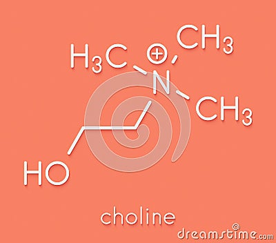Choline Essential Nutrient Molecule. Skeletal Formula. Stock Image ...