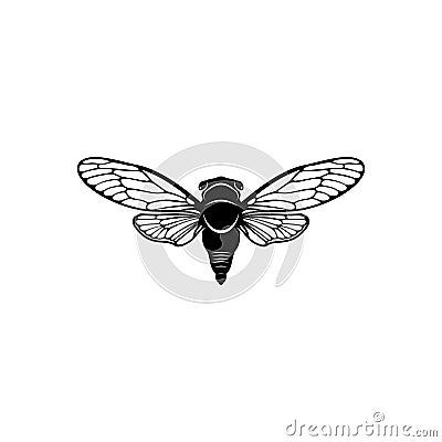 Cicada Design Vector Illustration, Creative Cicada Logo Design Concept ...