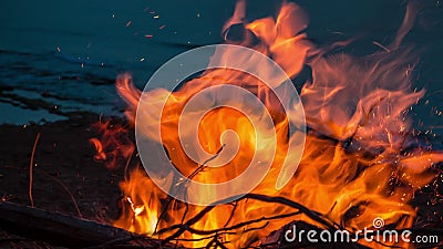Cinemagraph Of A Campfire At Twilight On The Beach Stock Footage ...