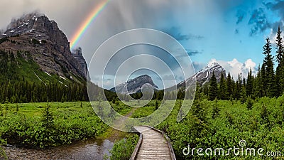 Cinemagraph Continuous Loop Animation. View of the Hiking Trail in the ...