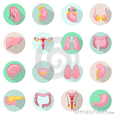Circle Vector Icons Of Human Organs | CartoonDealer.com #138476234