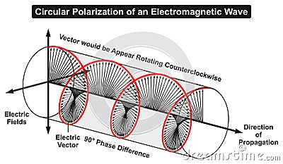 Circular Polarization Of An Electromagnetic Light Wave Cartoon Vector ...