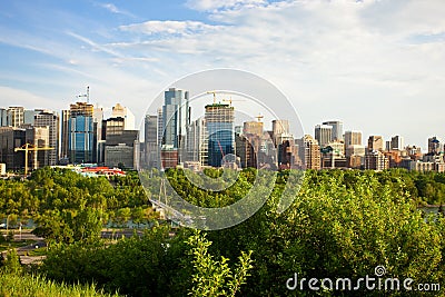 City Forest Royalty Free Stock Images - Image: 13019309