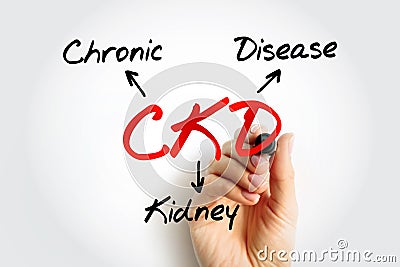 CKD - Chronic Kidney Disease Acronym, Medical Concept Background Stock ...