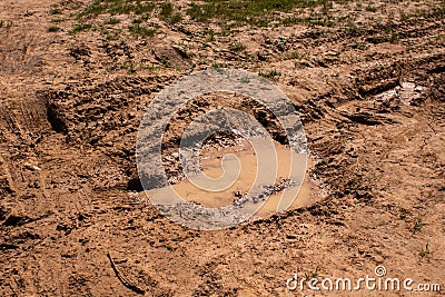 Clay Puddle Of Water After Rain Stock Photography | CartoonDealer.com ...