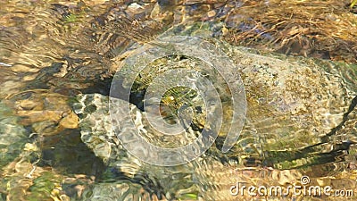 Clean Spring Water Running through the Mountains in Summertime Stock ...