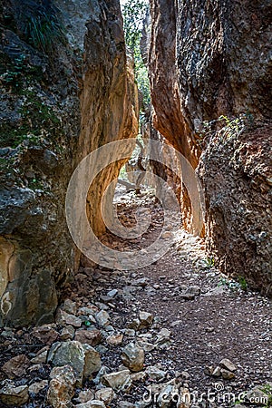 The Cleft In The Mountain In Israel Royalty-Free Stock Image ...