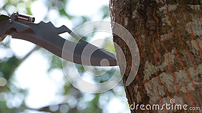 A Tactical Knife Stuck on Tree Stock Video - Video of holding, blade ...