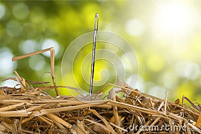 Closeup Of Needle In Haystack On Background Royalty-Free Stock Image ...