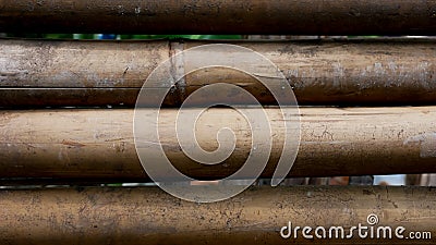 Close Up Of Bamboo Cane Texture Stock Photo | CartoonDealer.com #240040626