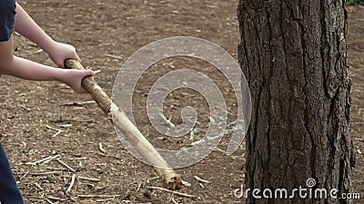 Close Up of a Boy Hitting a Tree with a Stick Stock Video - Video of ...