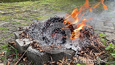 Close Up Burning Leaf Leaves in Fire Pit Bonfire with Thick White Smoke ...