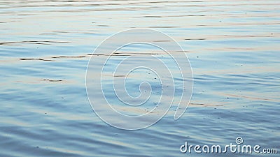 Close-up of the Calm Blue Water of a Lake Stock Video - Video of deep ...