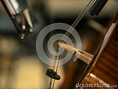 Close-up On Classical String Instruments - Double Bass - Side View ...