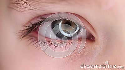 Close Up of Coloured Eye of Kid Blinking Slowly Stock Video - Video of ...