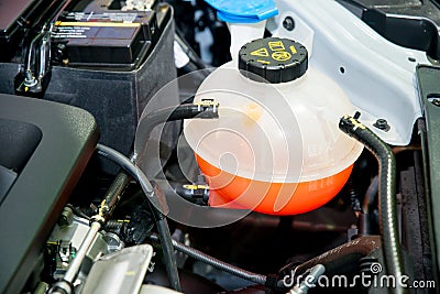 Close Up Coolant Container In A Carengine Bay Royalty-Free Stock Photo ...