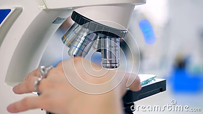 Close Up of a Female Hand Holding a Glass Plate Under a Microscope ...