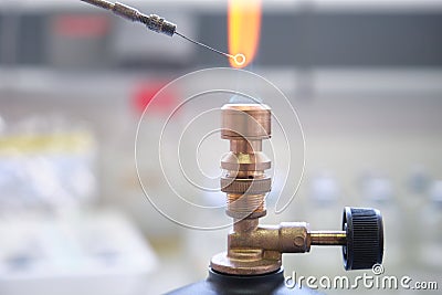 Close Up Of Inoculation Loop Being Sterilized In Flame Of Gas Bunsen ...