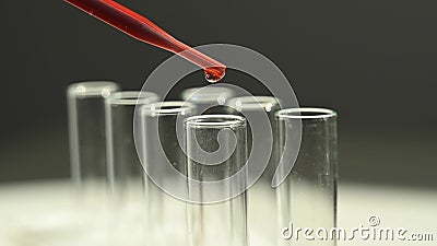 Close-up of a Laboratory Assistant Dripping Blood from a Pipette into a ...
