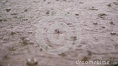 Close-up, Large, Heavy Drops of Rain, Rainfall, Shower, Fall with Water ...