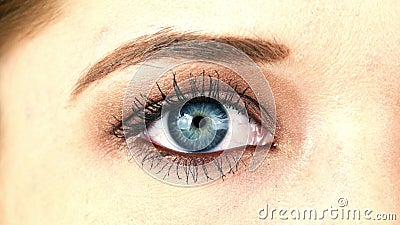 Close-up Macro Shot of Female Human Eye Blinking 4K Stock Video - Video ...