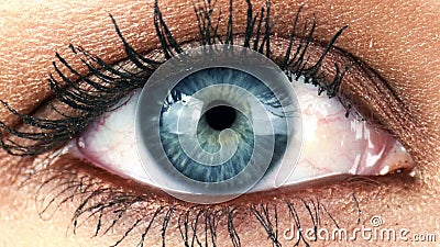 Close-up Macro Shot of Female Human Eye Blinking Stock Video - Video of ...