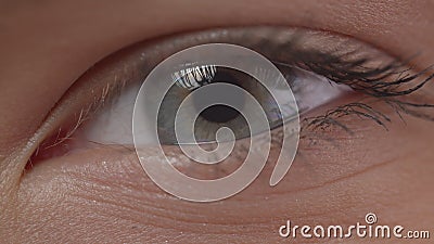Close-up Shoot of Light-blue Eye Blinking with the Reflection and Flare ...