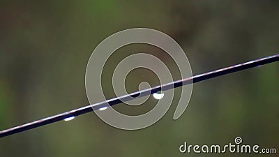 Close-up Shot of Raindrops on a Washing Line, HD Video. Stock Footage ...