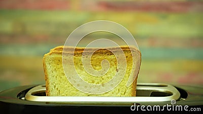Close Up Toast Popping Up Out of Toaster. Slowmo Stock Video - Video of ...