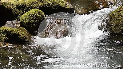 Close up white stream stock footage. Video of summer - 43707472