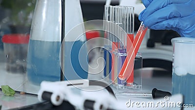 Close-up of Working Process in Chemistry Laboratory with Test Tubes ...