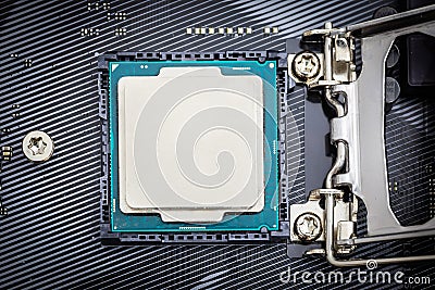 Closeup Detail Of CPU Chip Over Socket Of A Modern Computer Black ...